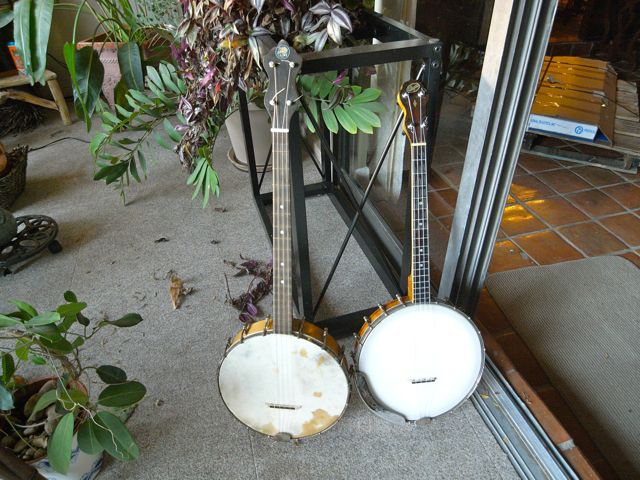 Ukulele Player's Guide